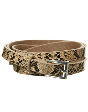 Snakeskin Accessories - StyleNest