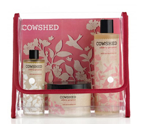 Gift Sets For New Mums - StyleNest