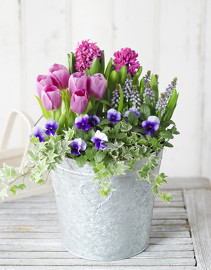 Mother's Day Flowers - StyleNest