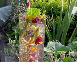 Plant-Powered Cocktail Masterclass At The Rib Room Bar & Restaurant ...